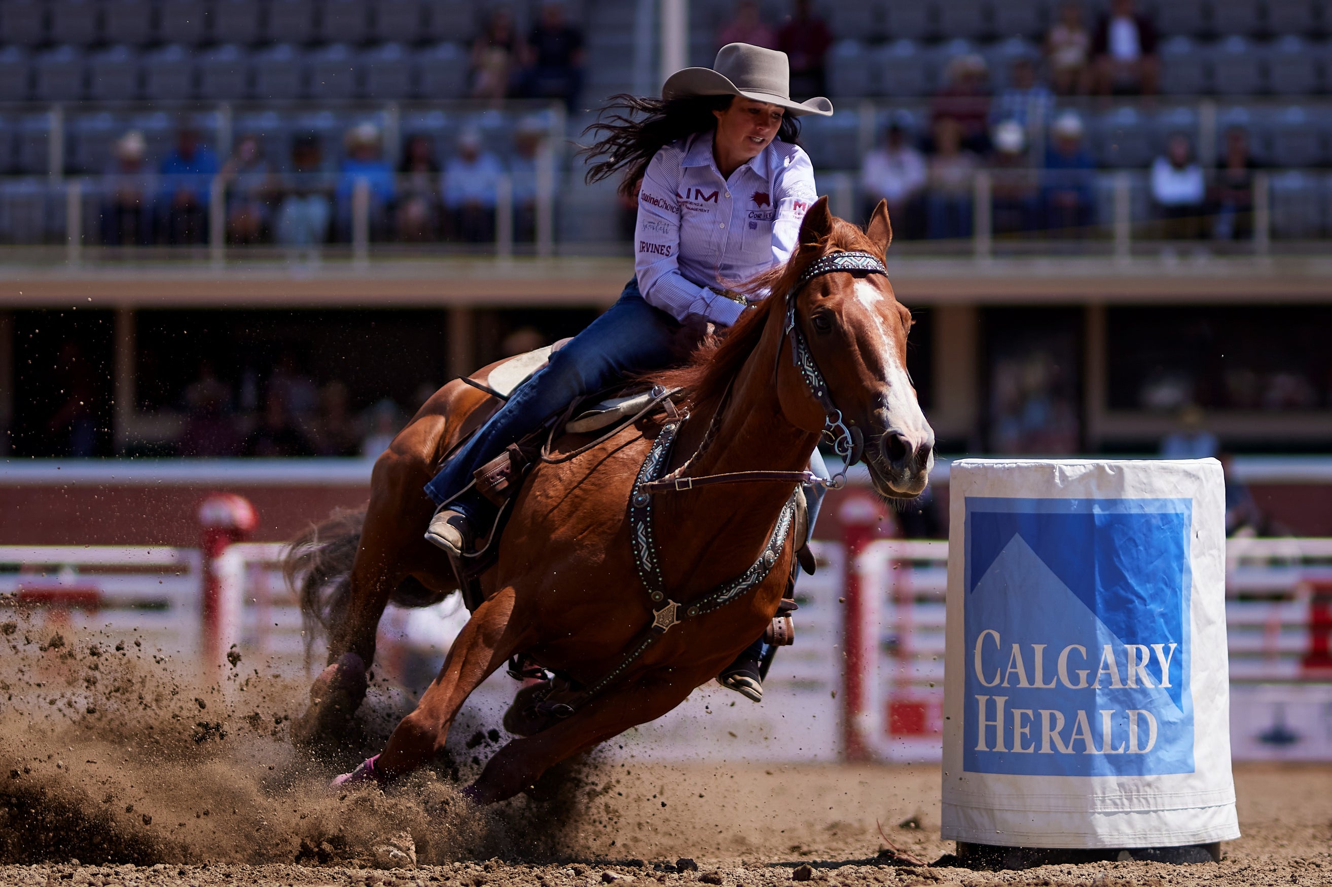 Community – Equine Choice